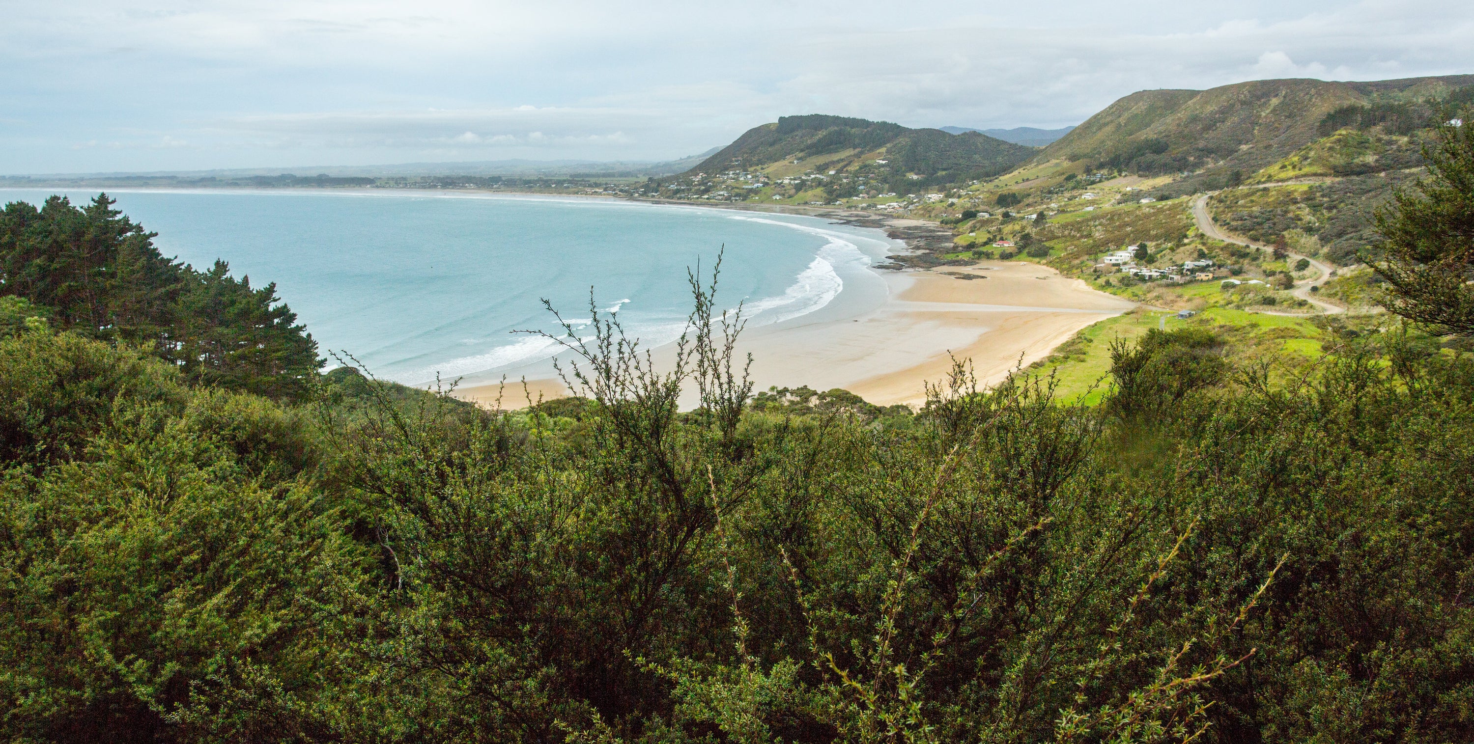 Tai Tokerau Contracting Services – Tai Tokerau Honey Ltd