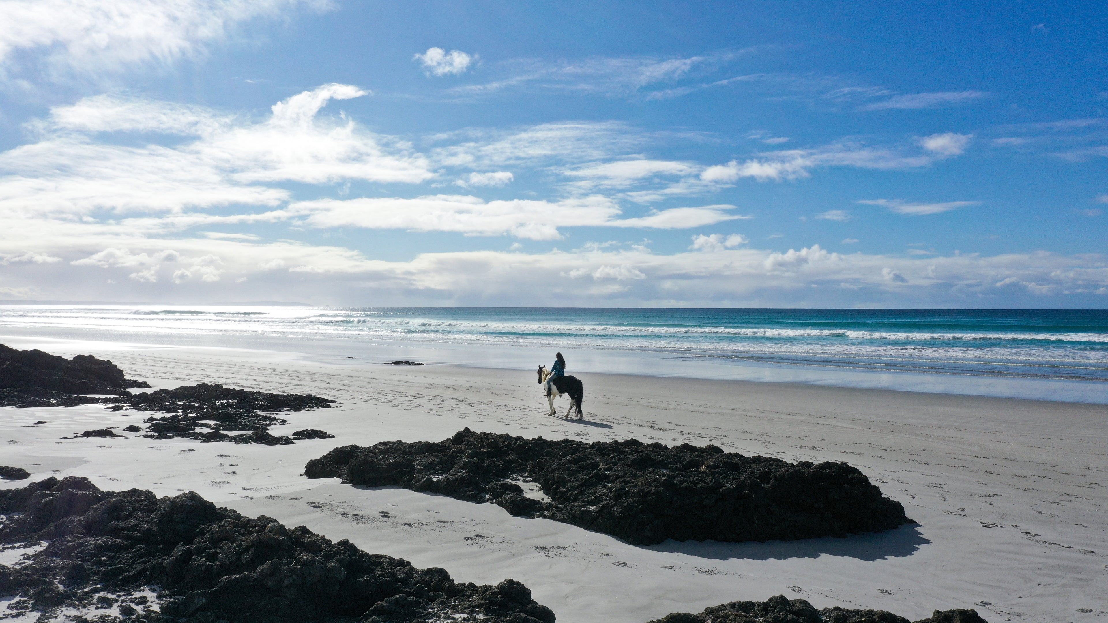 Contact Us – Tai Tokerau Honey Ltd