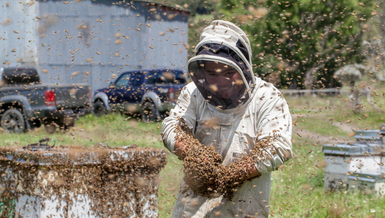 Contact Us – Tai Tokerau Honey Ltd