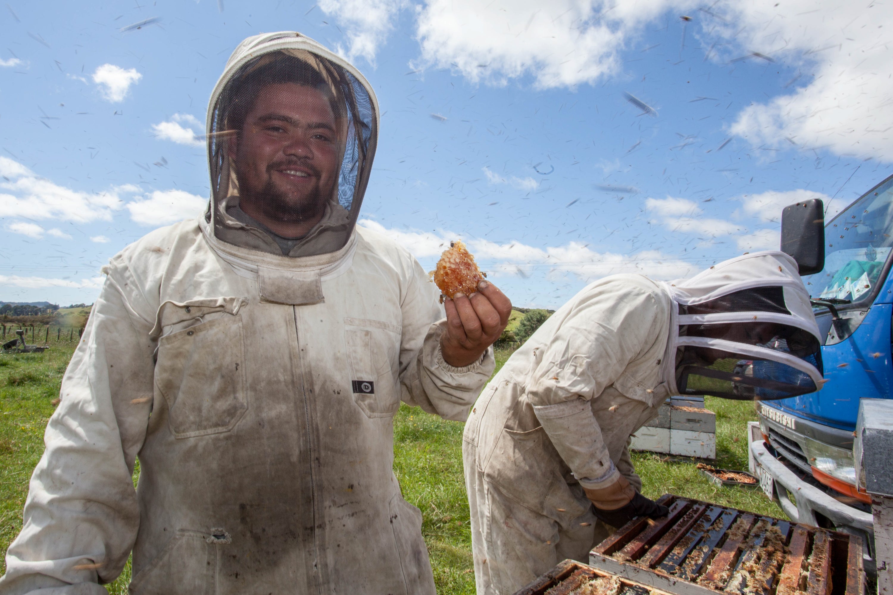Tai Tokerau Honey Ltd - Premium Manuka Honey